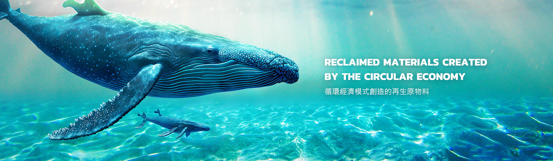 About US - ELITE INDUSTECH CO., LTD.